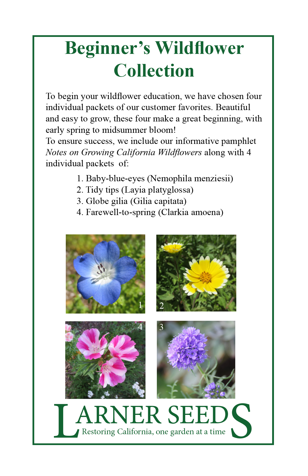 Beginner's Wildflower Collection – Larner Seeds