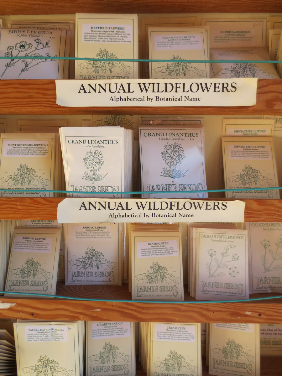 Annual Wildflowers – Larner Seeds