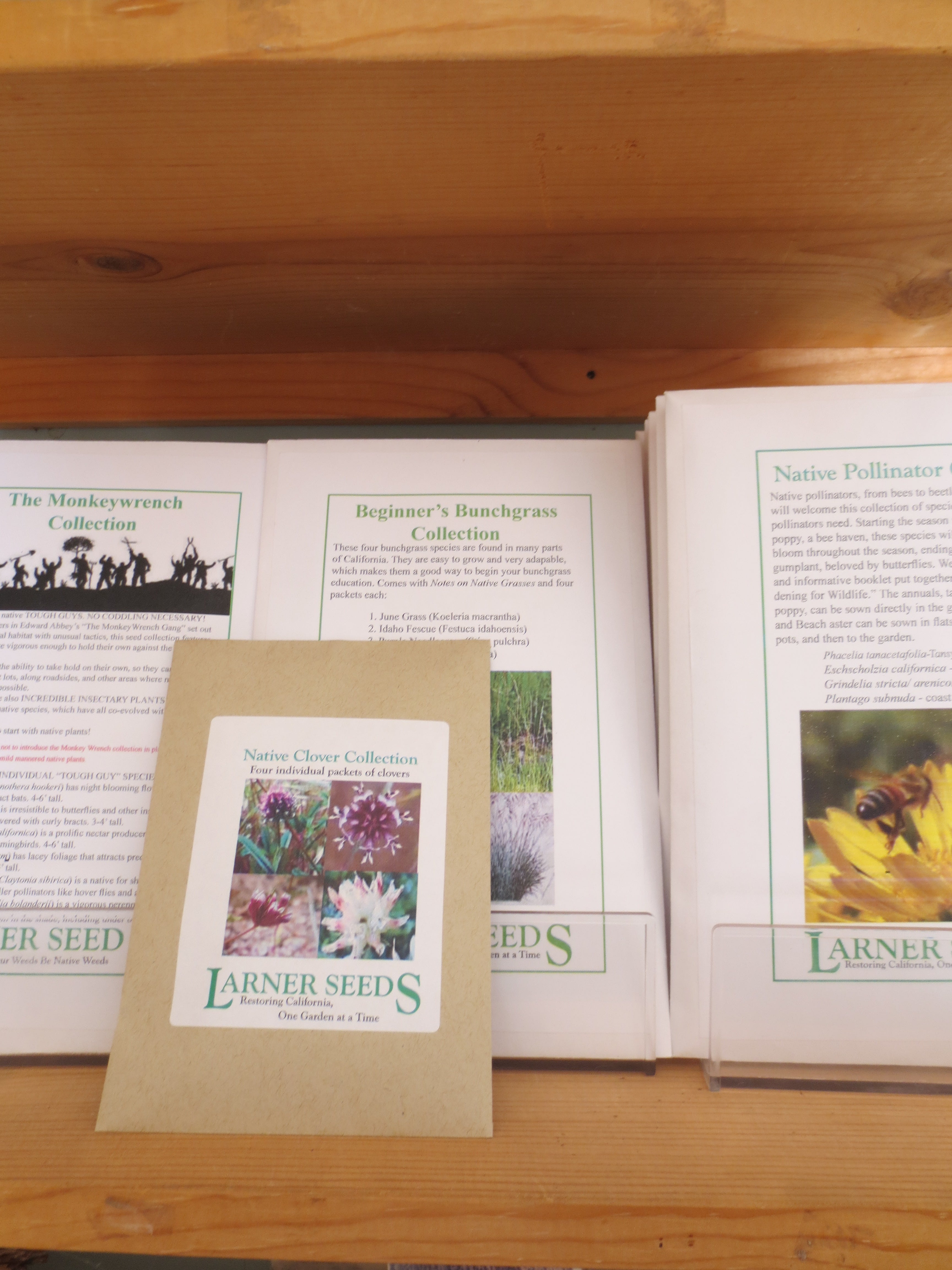 Special Seed Collections – Larner Seeds