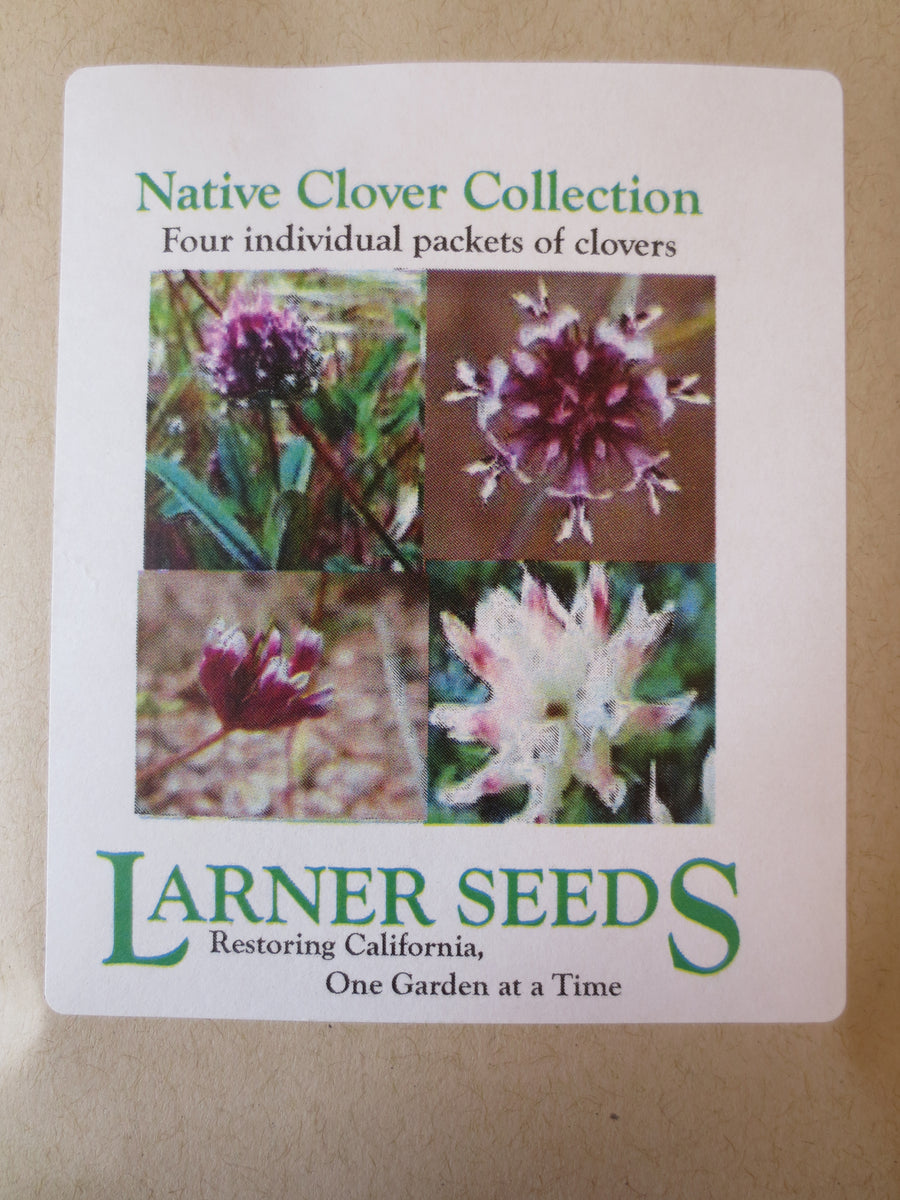 California Native Clover Collection – Larner Seeds