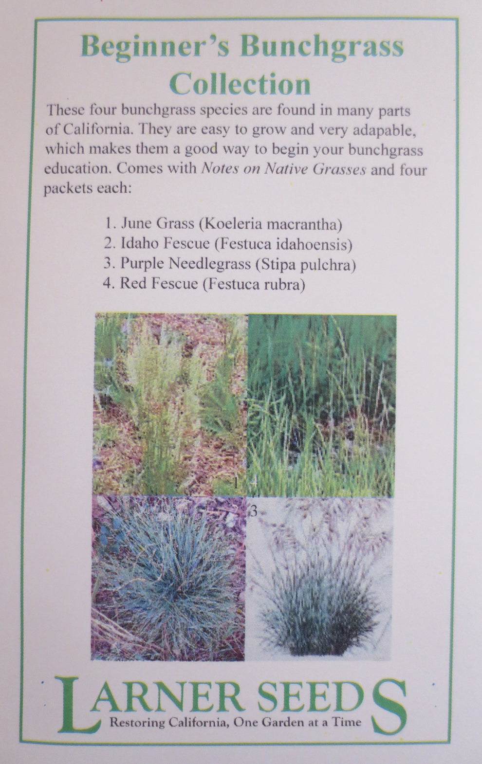 Beginner's Bunchgrass Collection – Larner Seeds