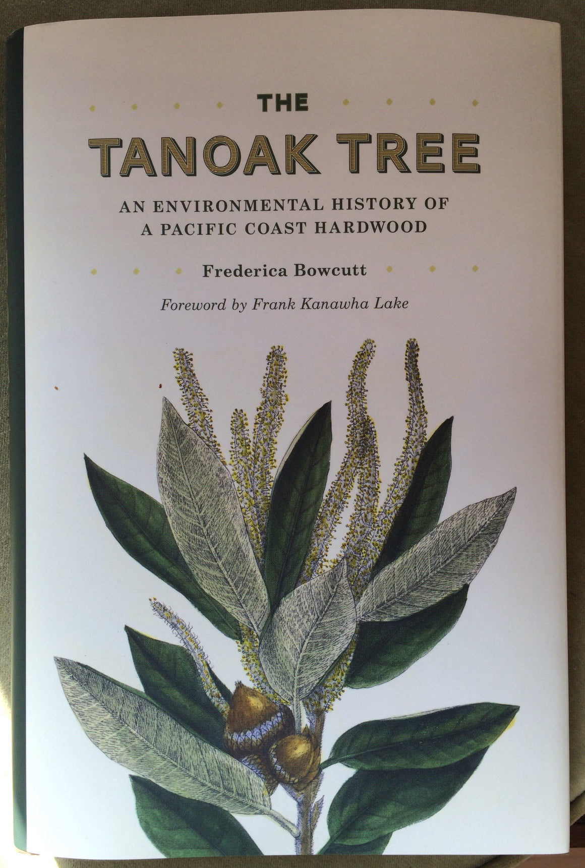 The Tanoak Tree – Larner Seeds